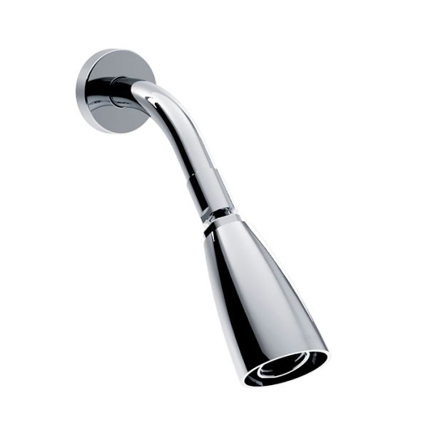 SHOWER HEAD AND ARM RG